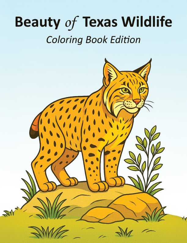 texas wildlife coloring book